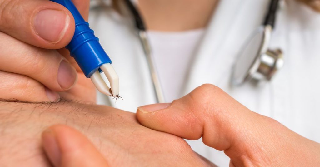 Boala Lyme- Borelioza - afectiuni si conditii - clinica Neuroaxis